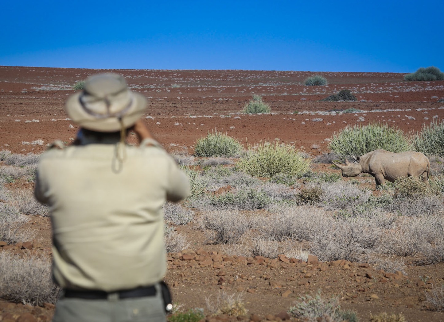 ATR Safari | Namibia Safaris