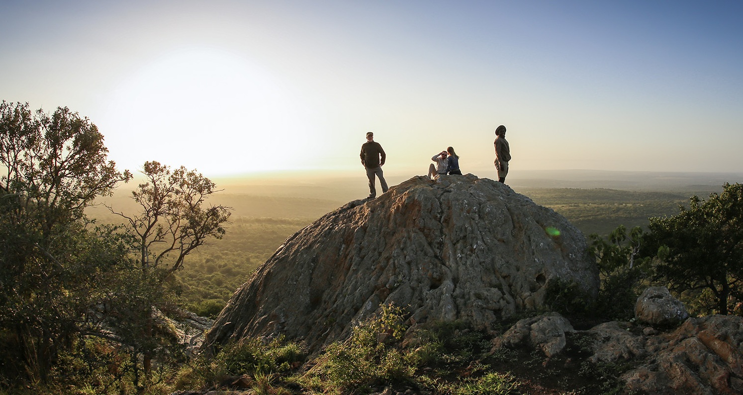 ATR Safari | South Africa Safaris