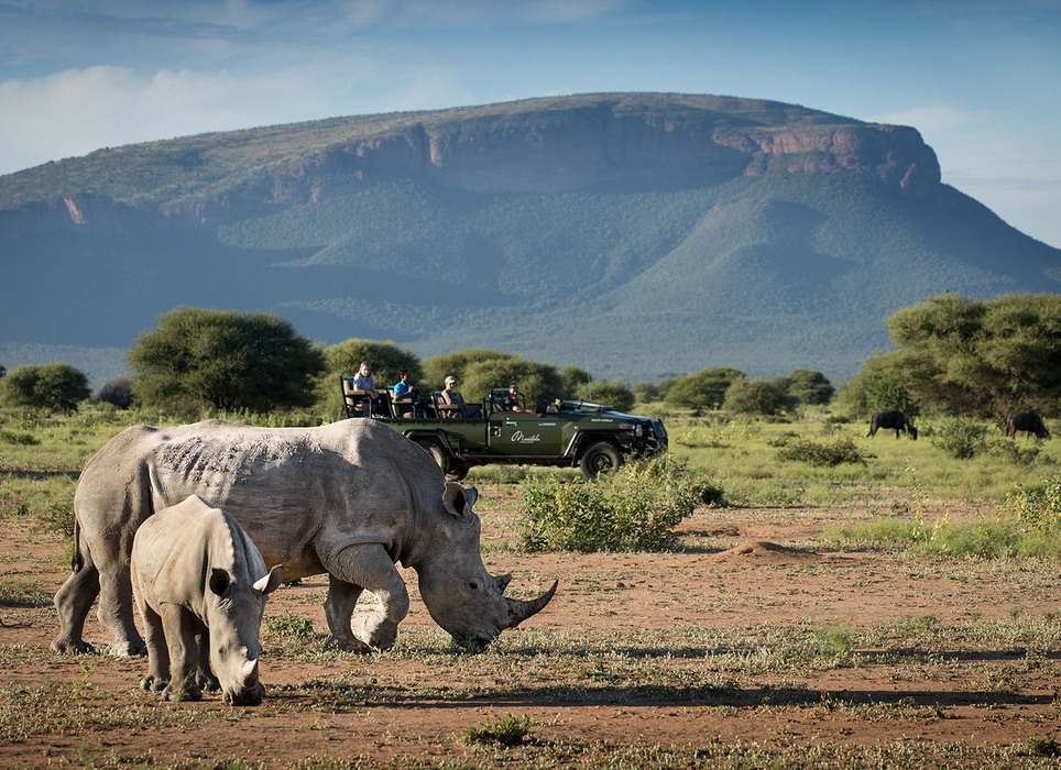 ATR Safari | South Africa Safaris