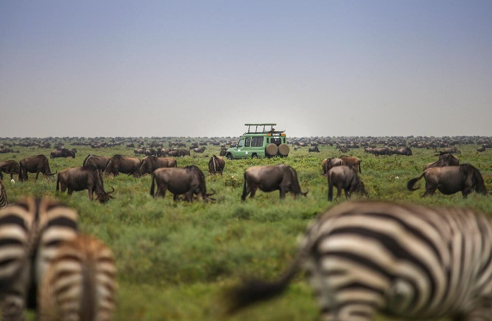 ATR Safari | Tanzania Safaris