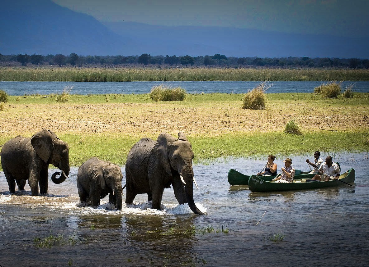 ATR Safari | Africa Safaris