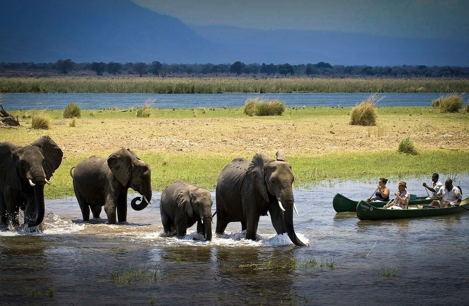 ATR Safari | Africa Safaris