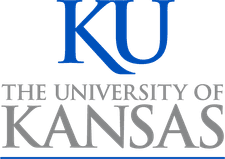 APA PsycInfo® research services