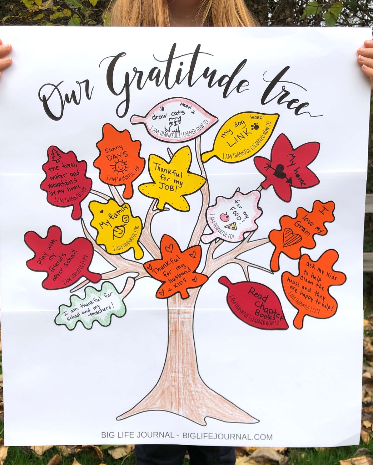 Free Weekly Printable - Big Life Journal