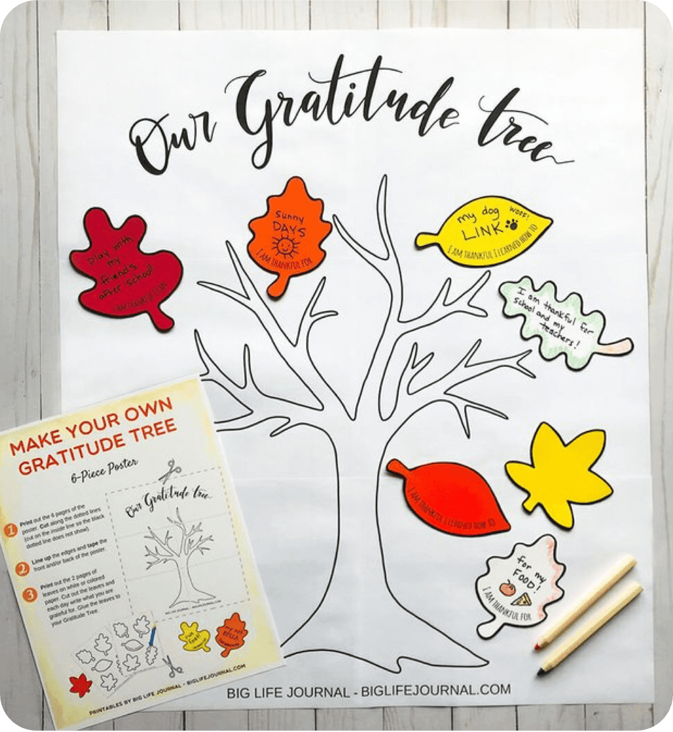 Friendships look like...(Poster)