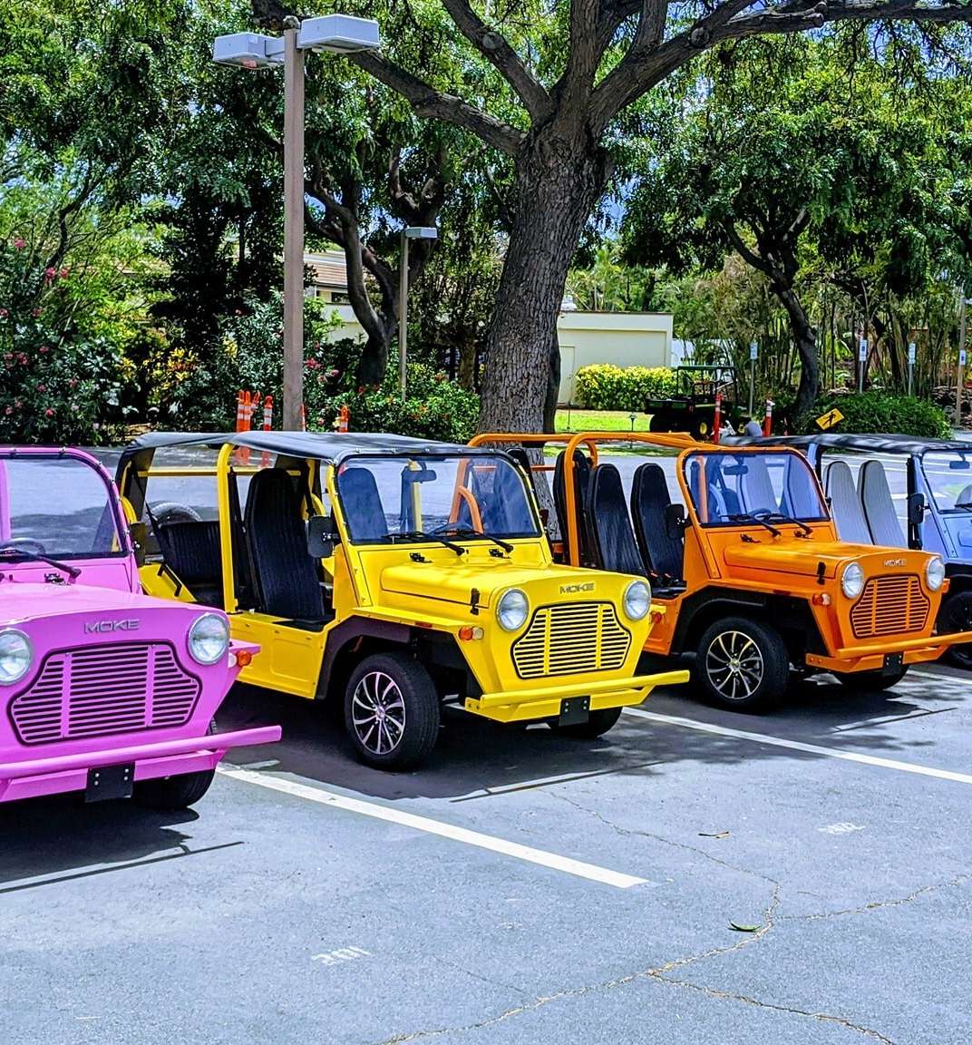 Request More Information