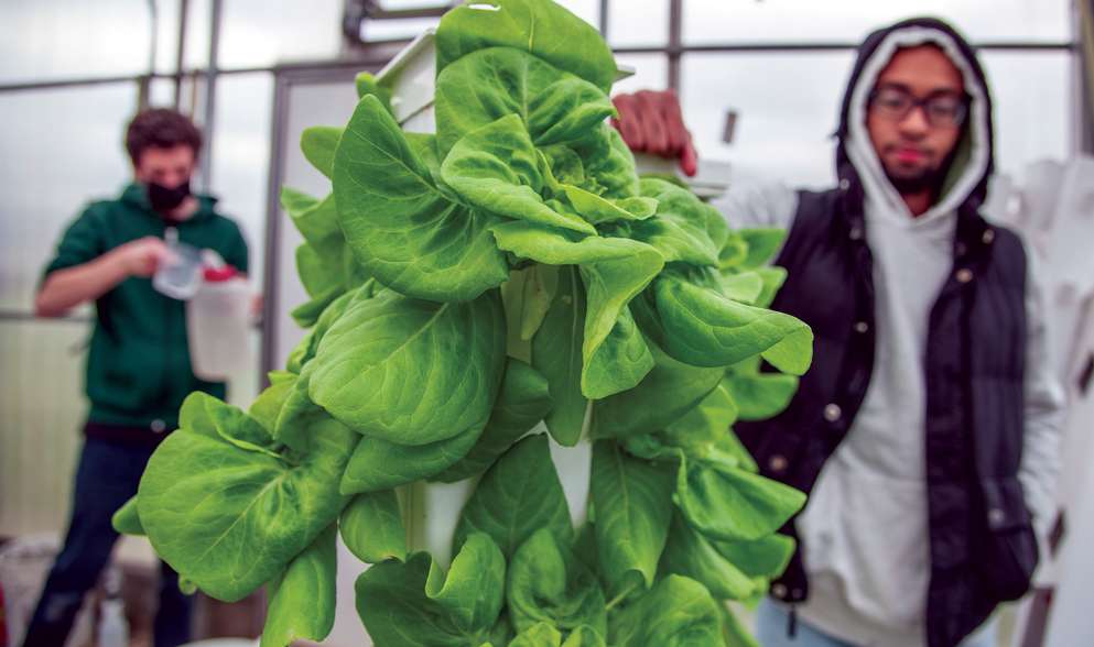 Personalized Learning Experiences that Inspire Growth and Success