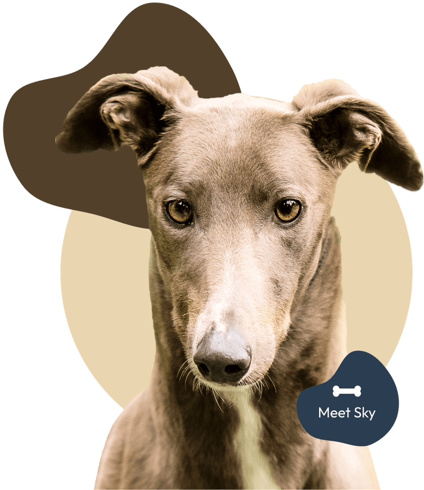 TAKE THE FIRST STEP...