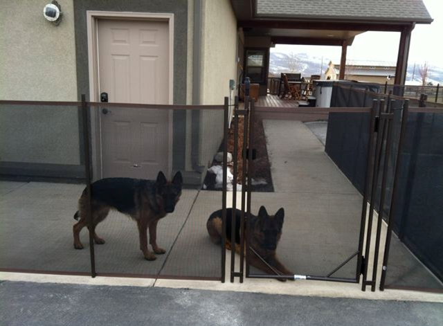 The Safest And Strongest Mesh Pool Fence