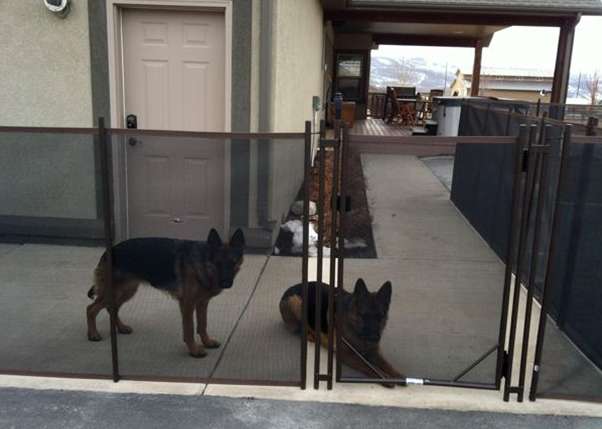 Removable Pool Fence