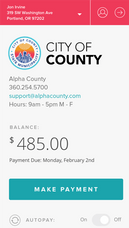 Powerful payment solutions for government