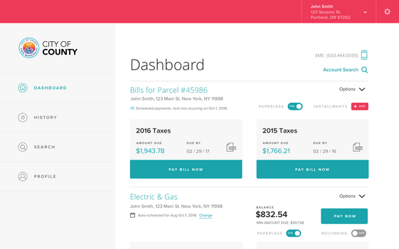Powerful payment solutions for government