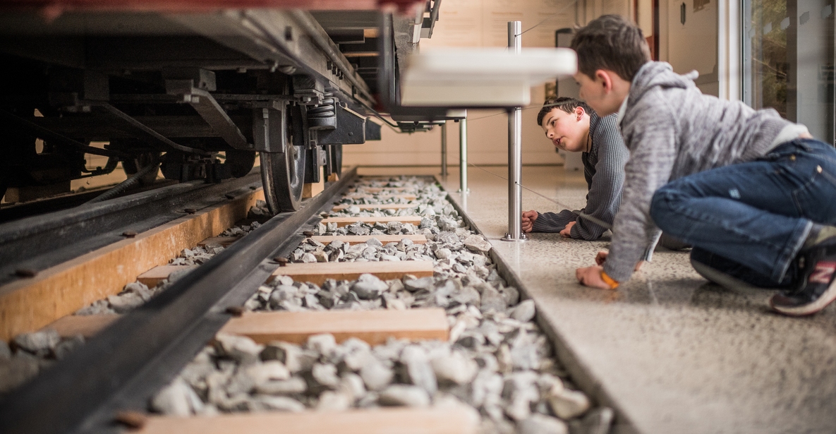 Wheako Pōneke Experience Wellington