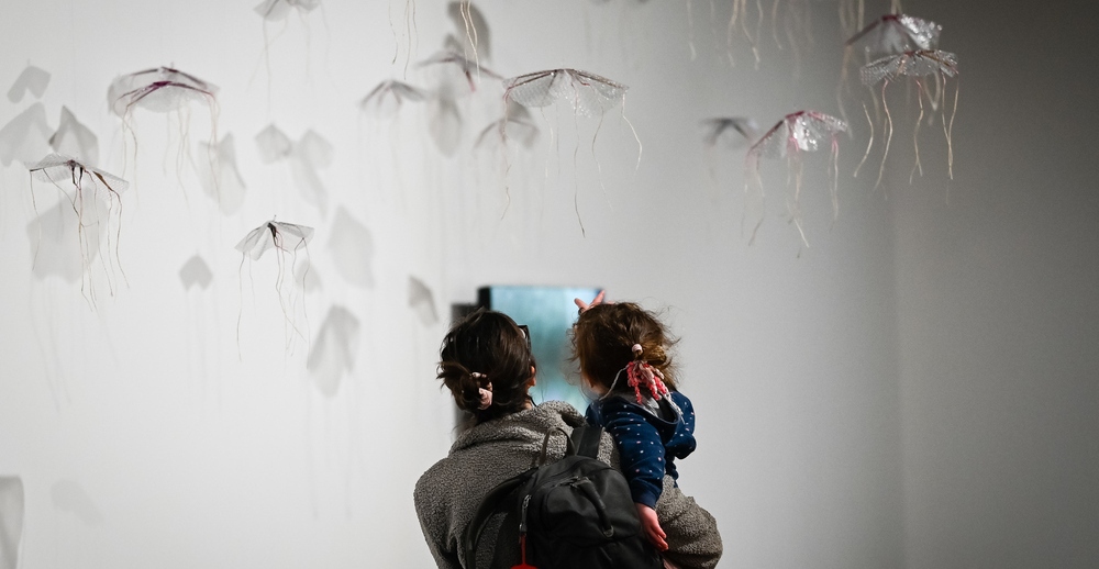 Wheako Pōneke Experience Wellington