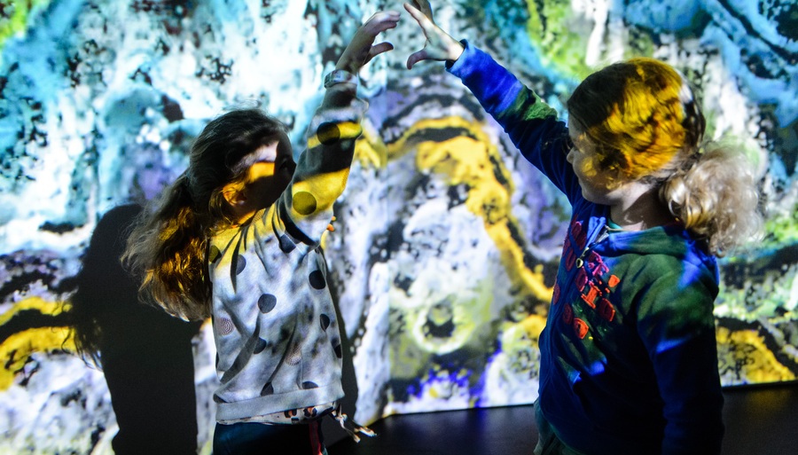 Wheako Pōneke Experience Wellington