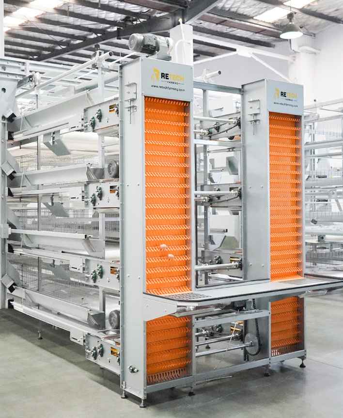 Kandang Ayam Petelur Modern Full Otomatis – KANDANG CLOSE HOUSE MODERN