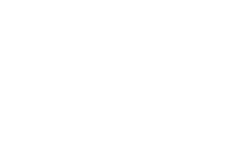 CLSO - Certified Lodging Security Officer