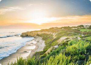 Home | Alliant International University