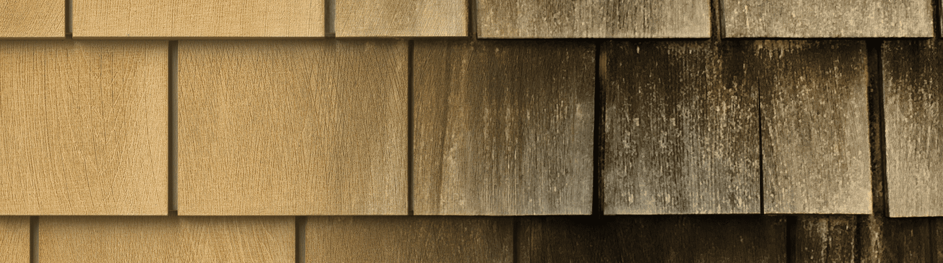 BHS - Classic Beauty