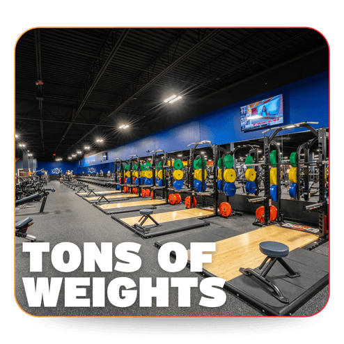 Crunch Fitness Free 7 Day Pass