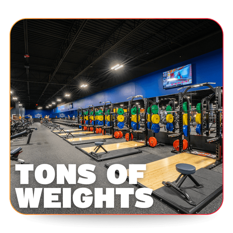 Crunch Fitness Free 7 Day Pass