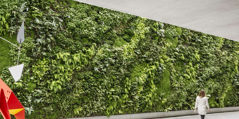 From the SFMOMA to the top floor of the Salesforce Tower, our living ...