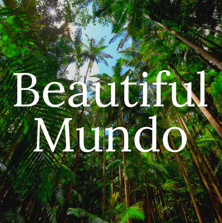 Have Homeschool Curriculum Handled | Hard Copy HQ