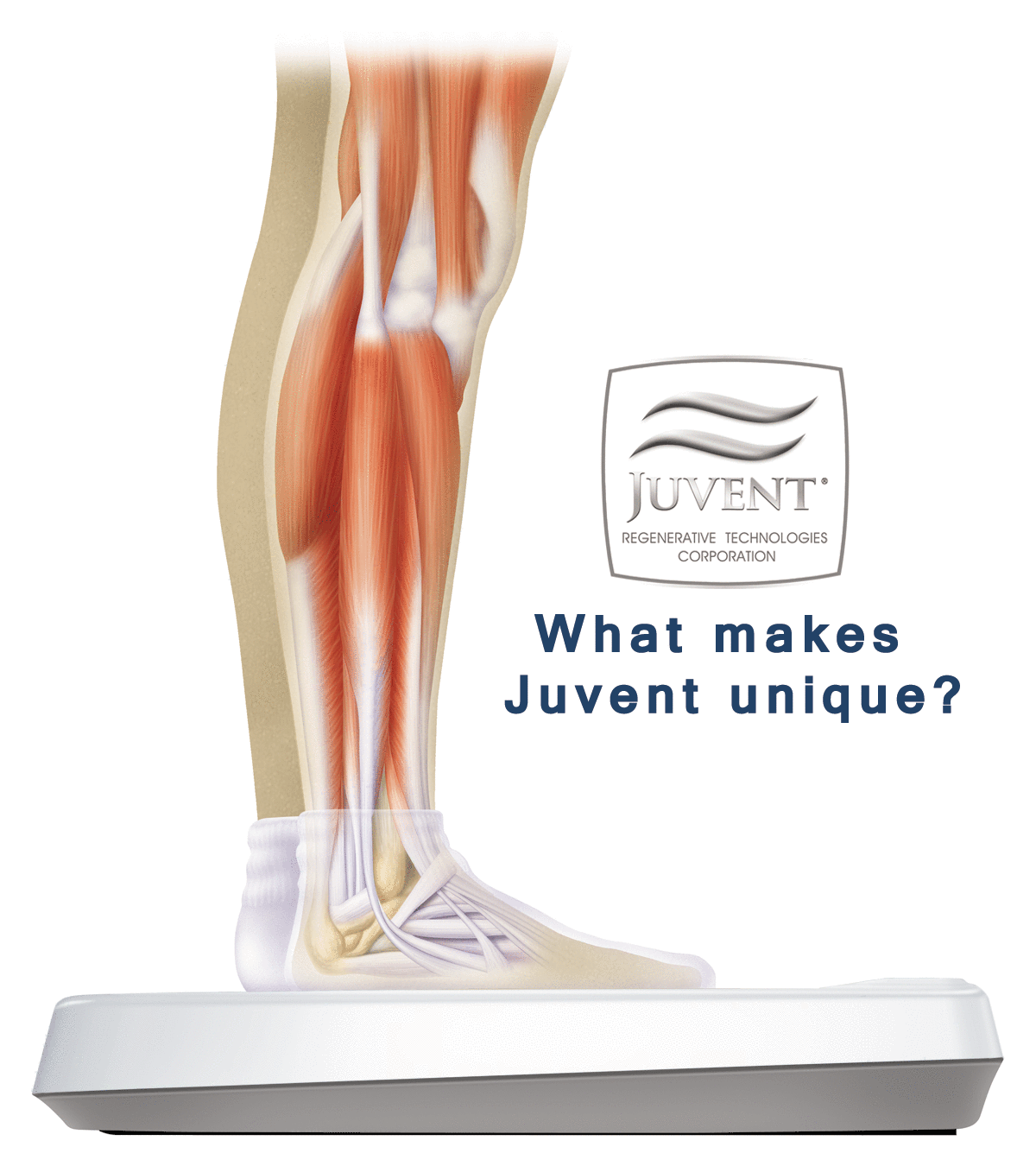 Safe and Fast Pay through Amazon