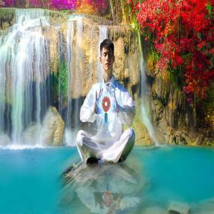 Qi Coil and Rife Frequency Machine Systems