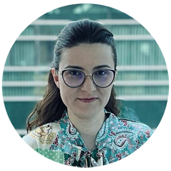 Piata creditelor neperformante. Evolutii si tendinte. Adelina-Elena Stan