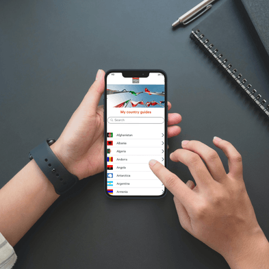 Frequently Asked Questions - MSH Insurance