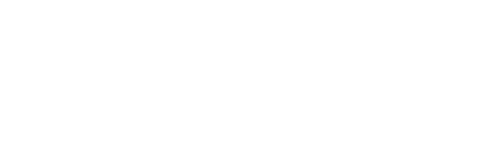 Model Portfolio