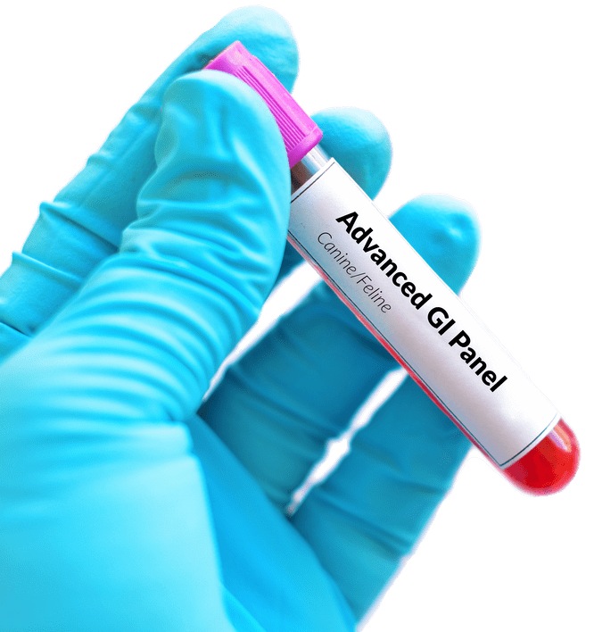 VDI Veterinary Sample Program | IVC Journal