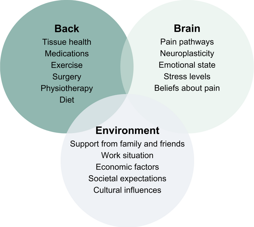 Mindset Health: 7 day back pain program