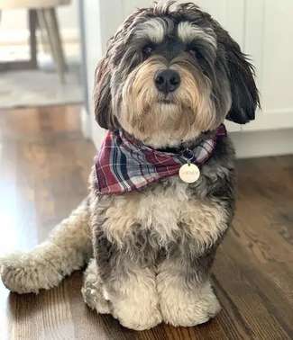 Mom of four, Yohana founder and CEO