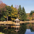 Vixen Hill Premium Gazebos Kits (484) 202-3818