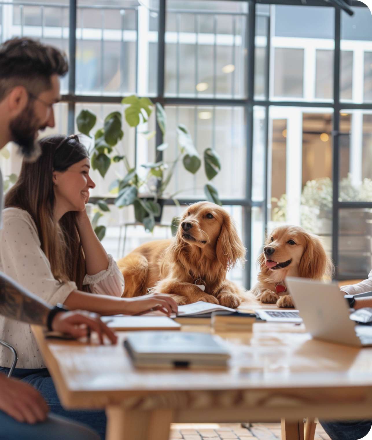 At Pet Benefit Solutions, we understand the powerful bond between ...