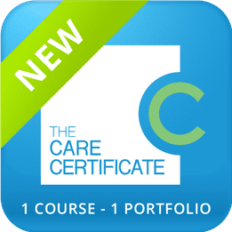 Health & Social Care eLearning | Careskills Academy