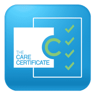 Health & Social Care eLearning | Careskills Academy
