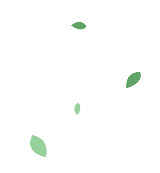 ECOCE | Asociación Ambiental