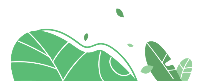 ECOCE | Asociación Ambiental