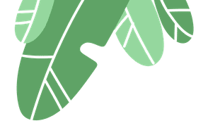 ECOCE | Asociación Ambiental