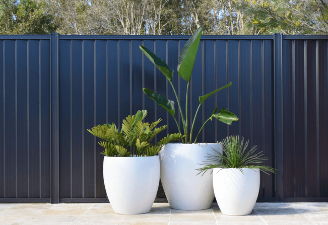 Colorbond® Steel Fencing & Gates | Oxworks