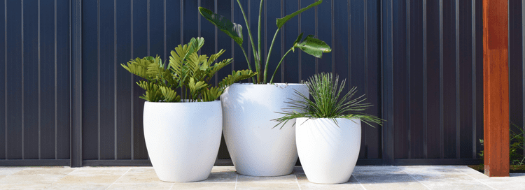 Colorbond® Steel Fencing & Gates | Oxworks