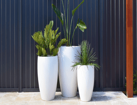 Colorbond® Steel Fencing & Gates | Oxworks