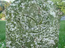 Best Tombstone Cleaner