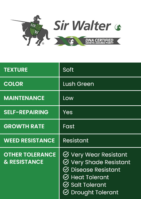 Buffalo Grass Varieties - Lawn Industries