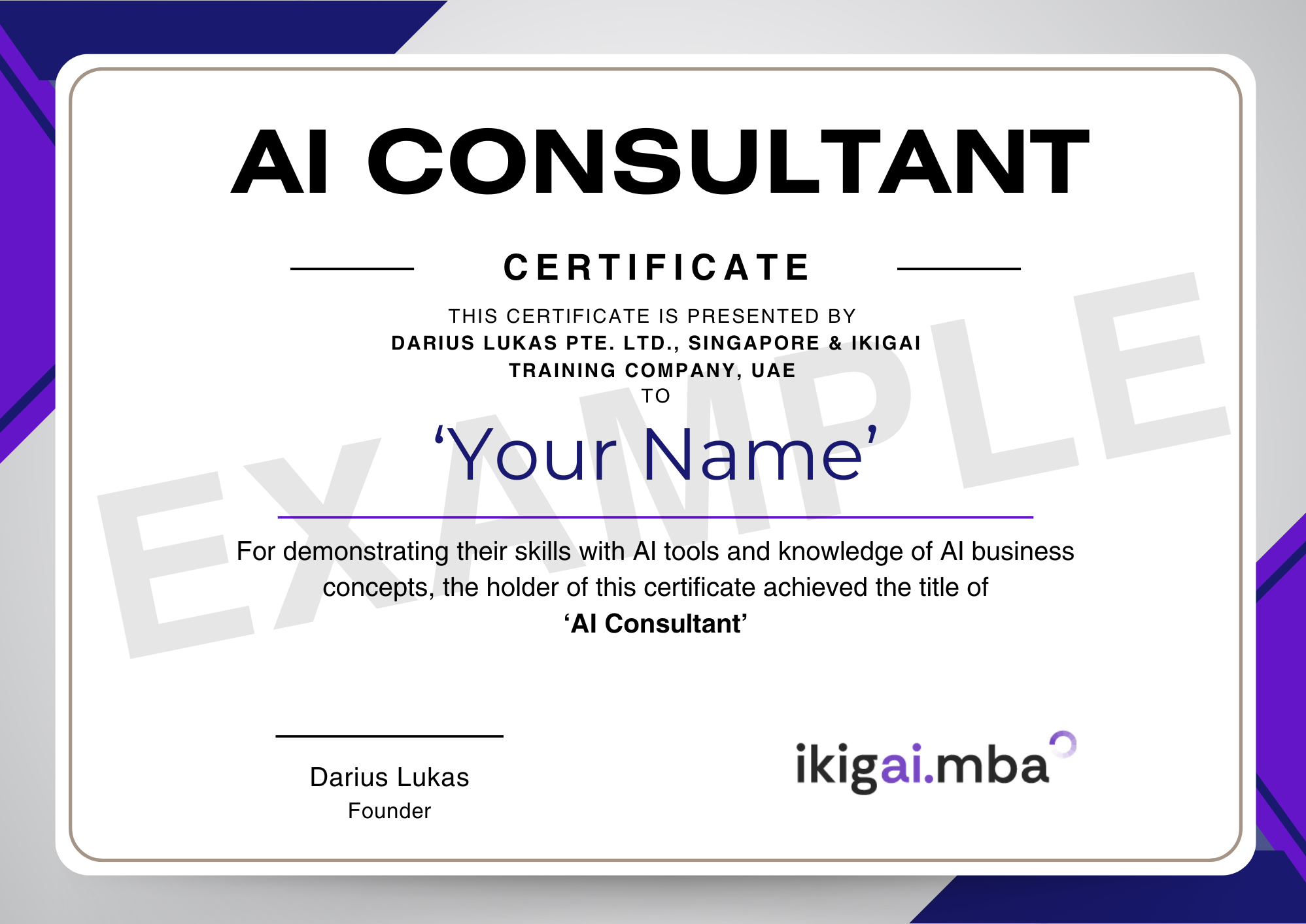 AI Consultant Certification