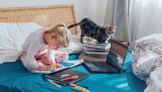 Texas Virtual Schools