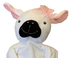 Education Videos Starring the Primrose Friends